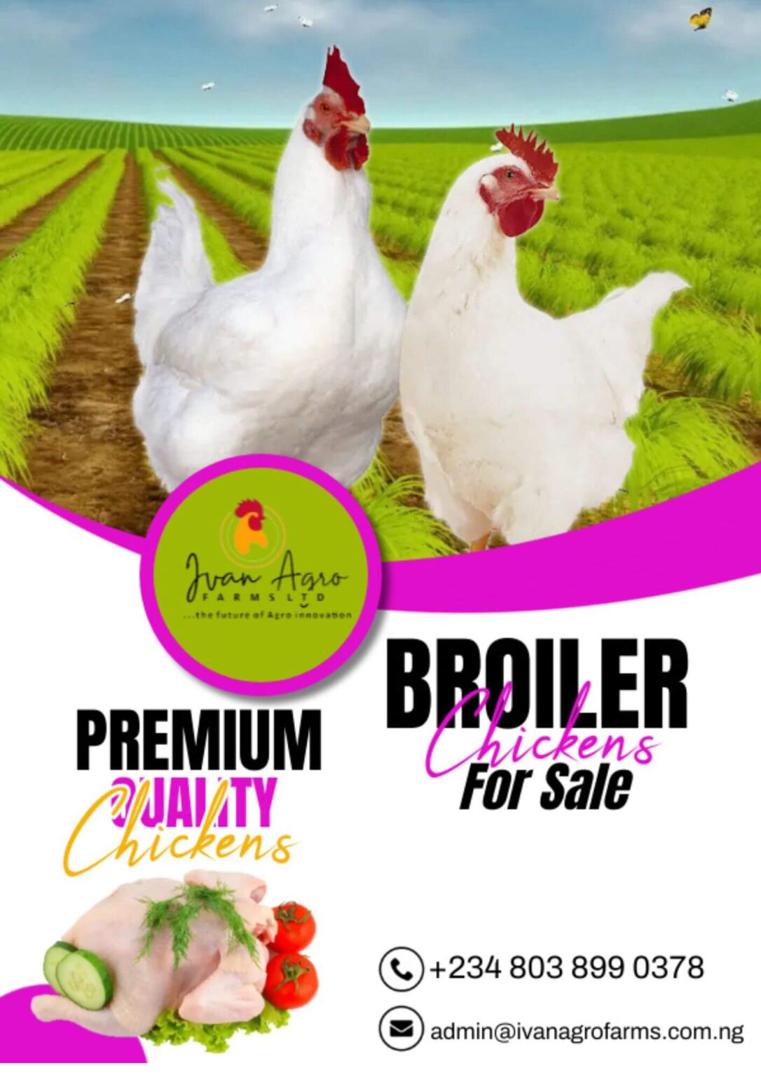 Poultry Services - Ivan Agro Farms